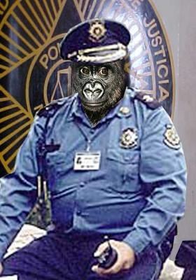 ReyWey (P.U.L.Q.U.E. web Oficial)